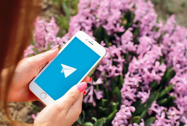 smartphone telegram flowers – BusinessTech