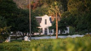 The best wine farms in South Africa – BusinessTech