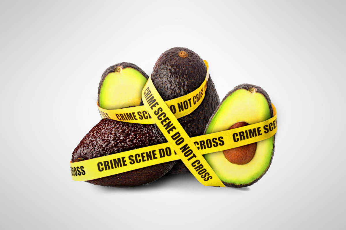 Criminal mafias leave nothing untouched in South Africa – not even ...