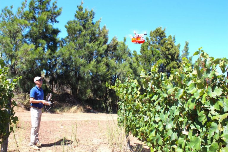 New ways businesses are using drones in South Africa – like pest ...