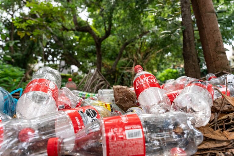 These are the world’s biggest plastic polluters – BusinessTech