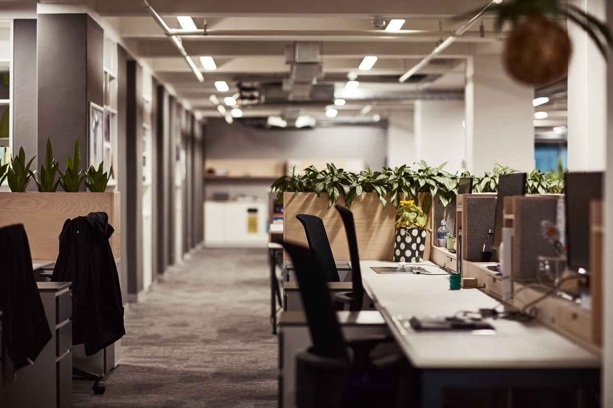 A win for return-to-office in South Africa – but WFH is here to stay ...