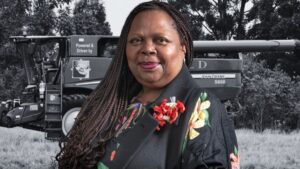 25 most influential CEOs in South Africa – BusinessTech