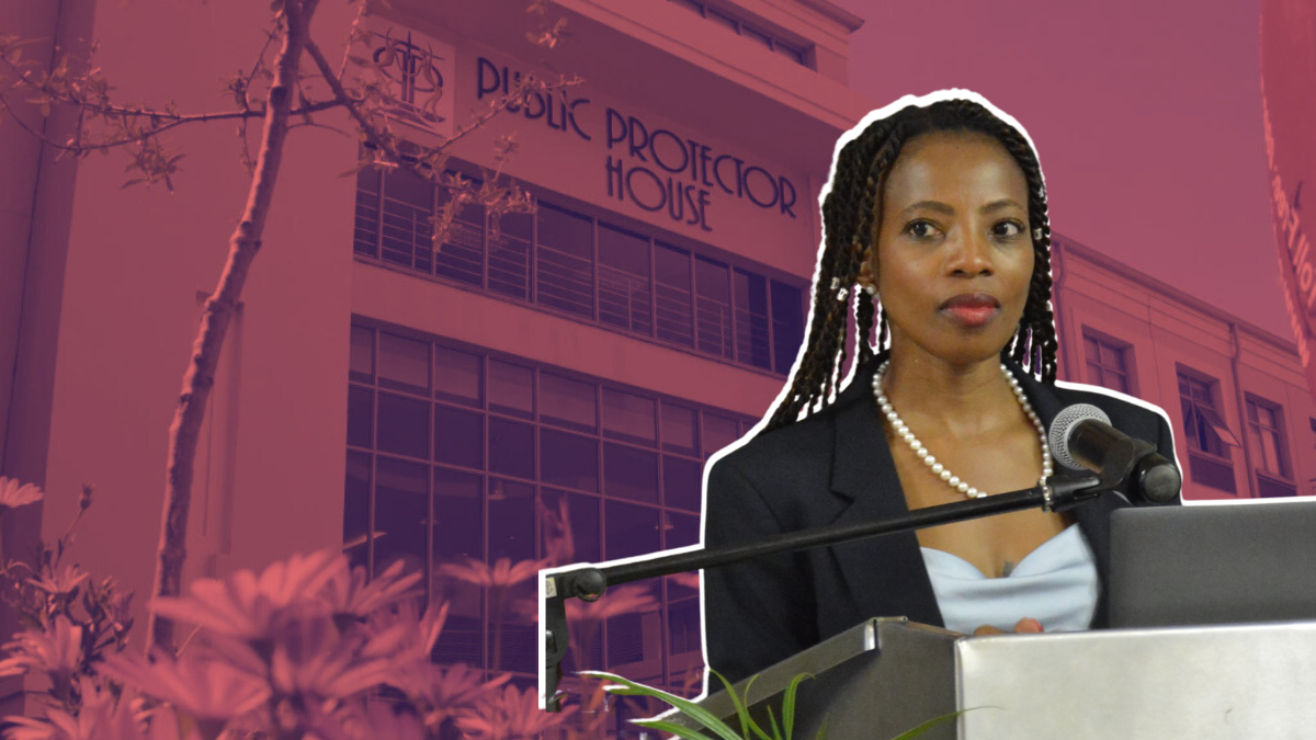 Public Protector raises red flags – with citizens charged for no ...