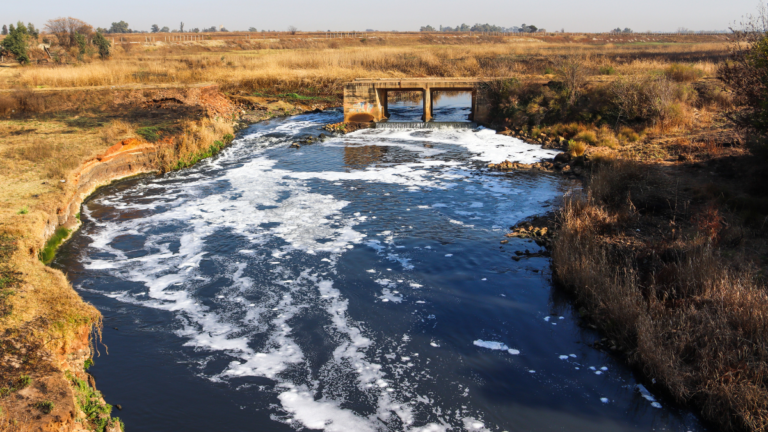 Gauteng river turns toxic – BusinessTech
