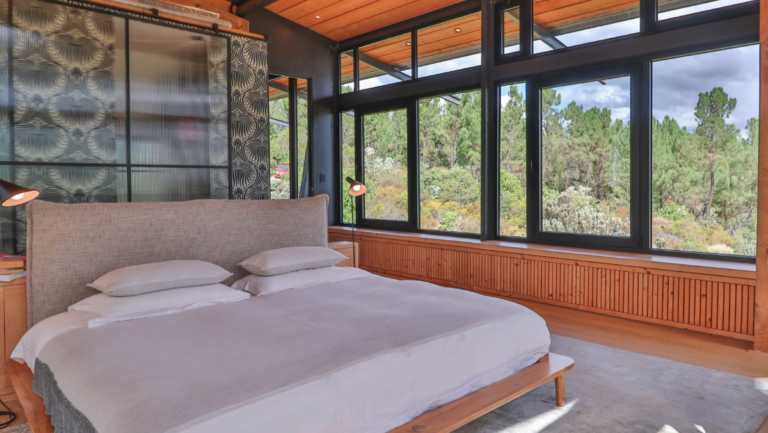 A look at the R55 million fynbos farm for sale in South Africa with its ...