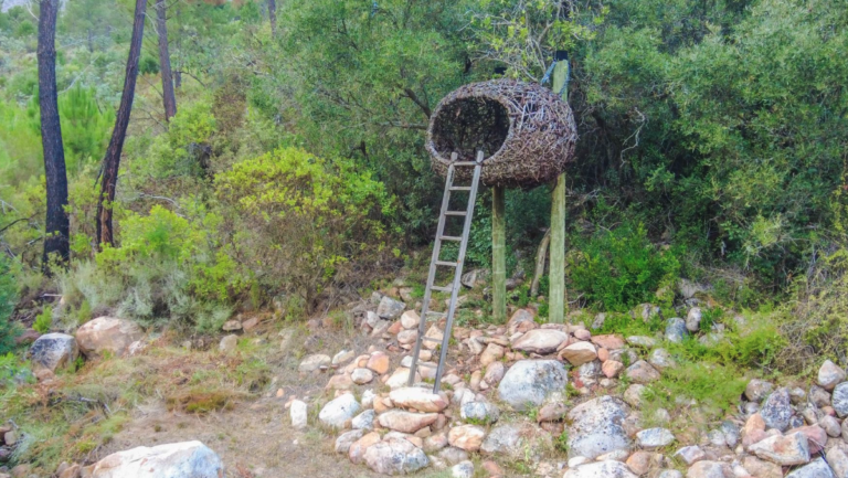 A look at the R55 million fynbos farm for sale in South Africa with its ...