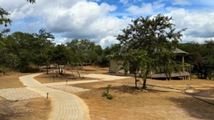 The game farm funded by the government with animals from Ramaphosa’s ...