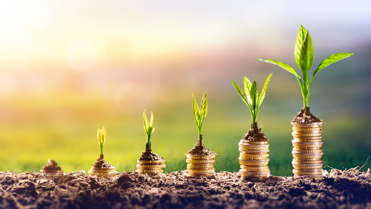 An ever-evolving investment world – an ever-evolving Everest Wealth ...