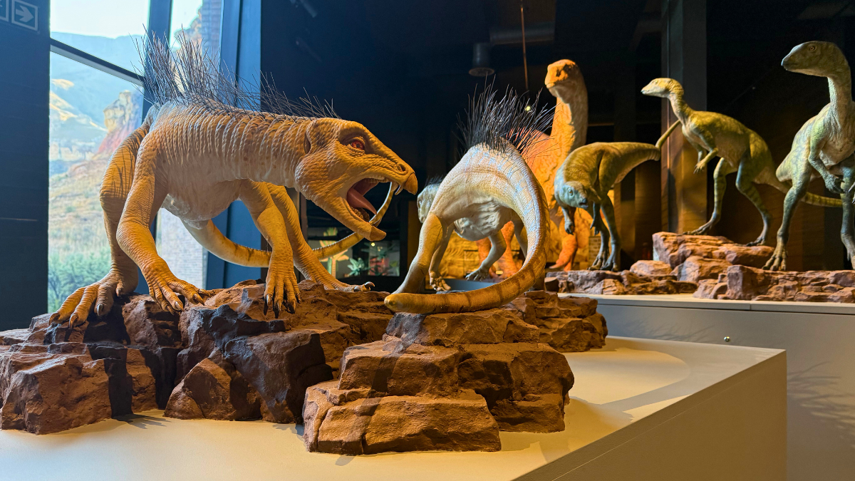 Dinosaurs return to the Free State: South Africa’s R120 million ...