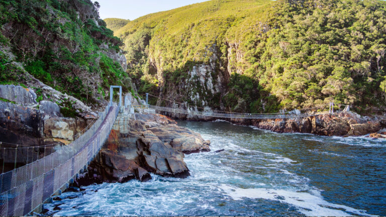 Iconic 57-year-old bridge in South Africa being completely rebuilt ...