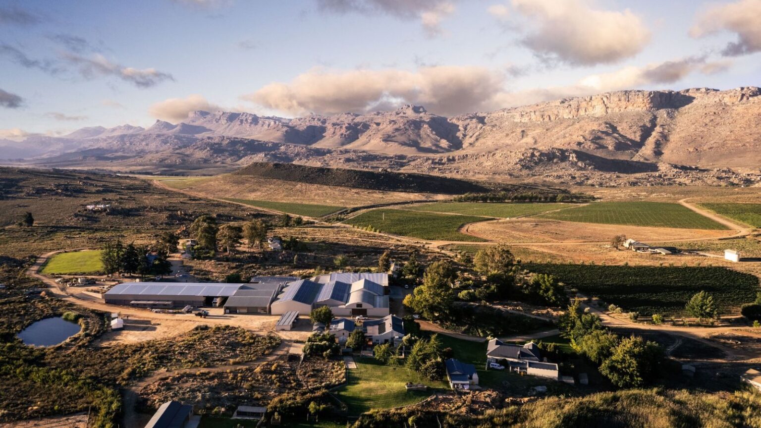Major international company exits South Africa – BusinessTech