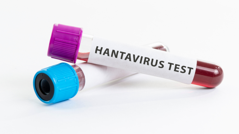 Government issues statement about deadly new virus in South Africa ...