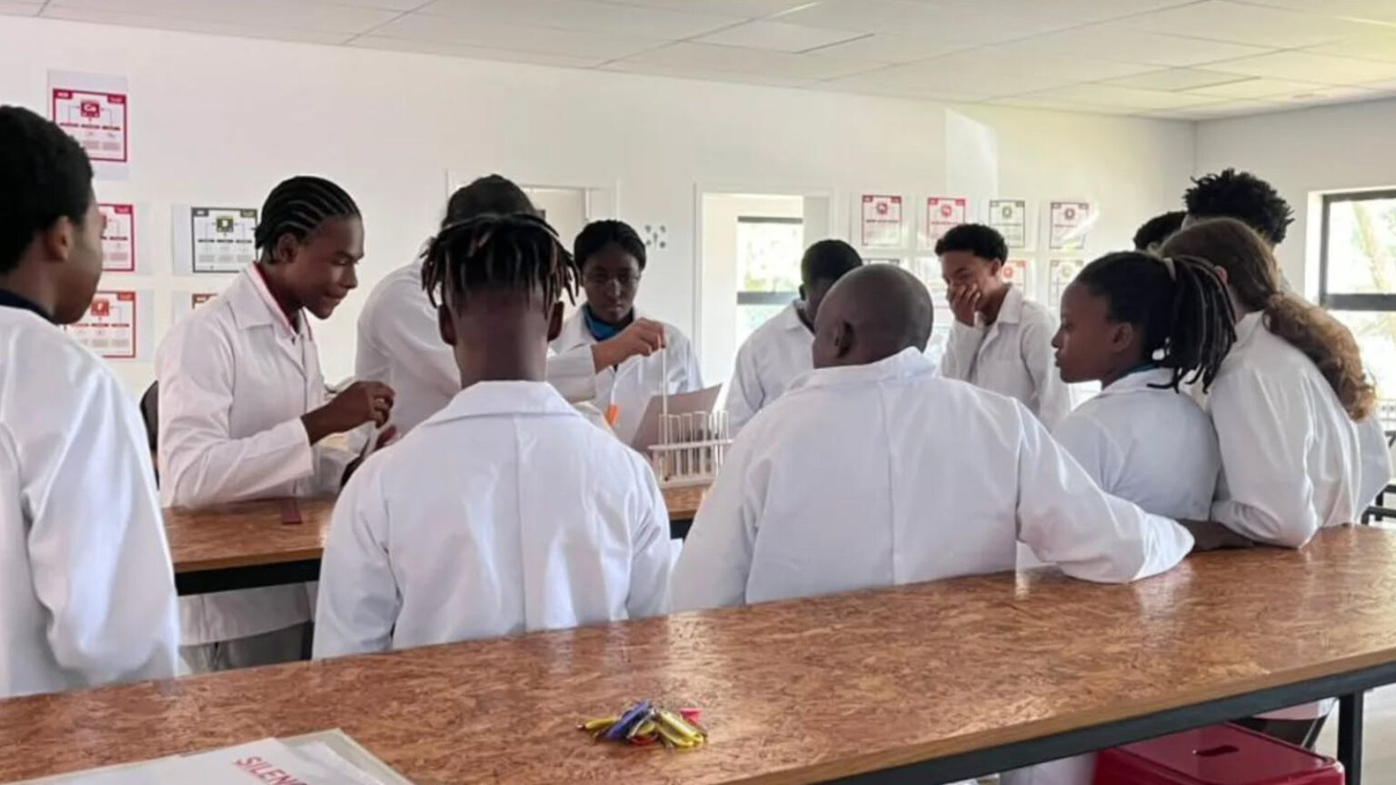 Private school group in South Africa sold for R172 million – BusinessTech